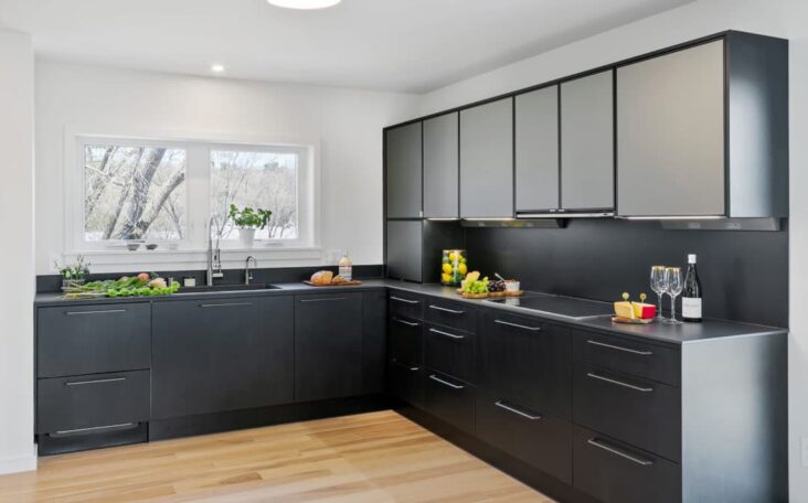 The Costliest Dilemma in Renovation: Unraveling the Secrets of Kitchen ...
