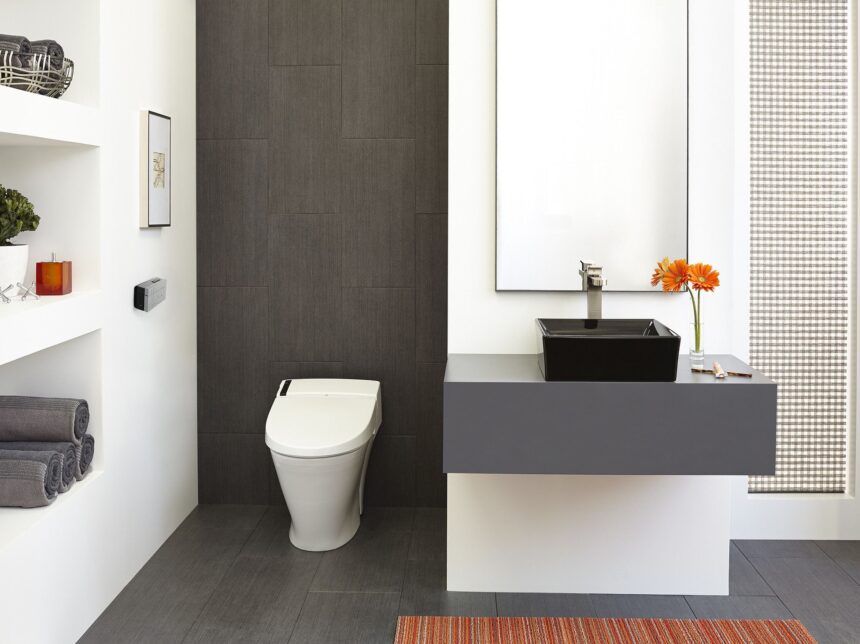 Choosing the Perfect Palette: What is the Most Popular Color for ...